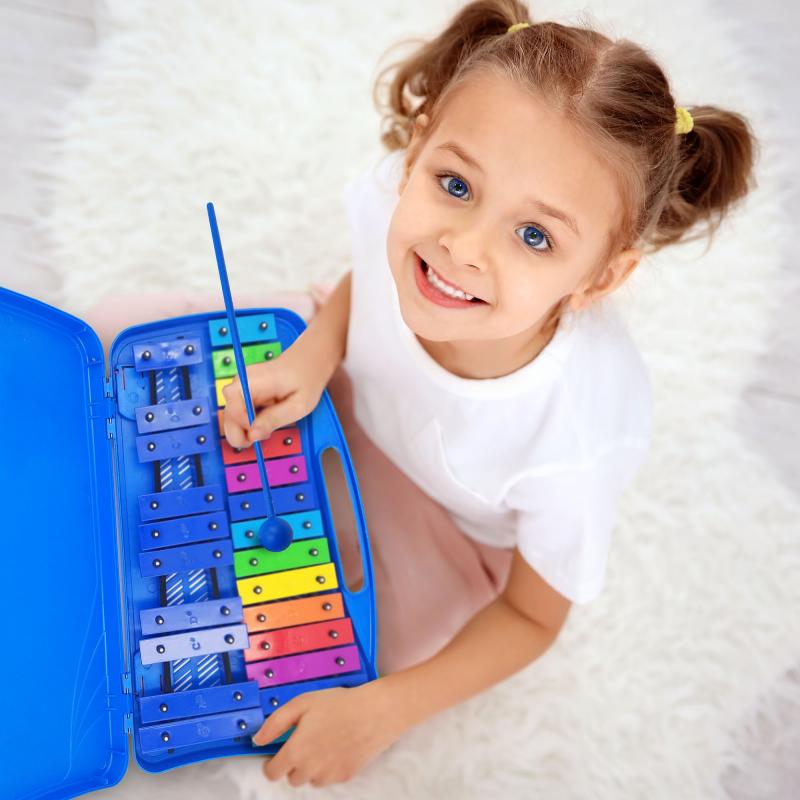 Buy Glockenspiel 25 Note Chromatic Xylophone in a Blue Plastic Case ...