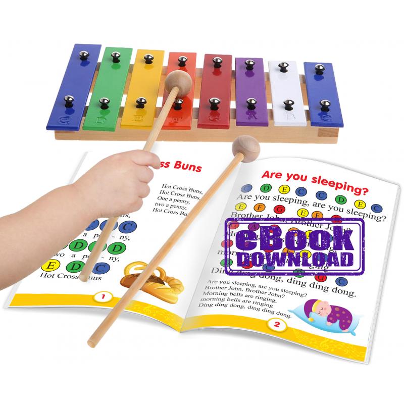 Buy Mini Xylophone for Children - Kid's Musical Instrument | inTemenos